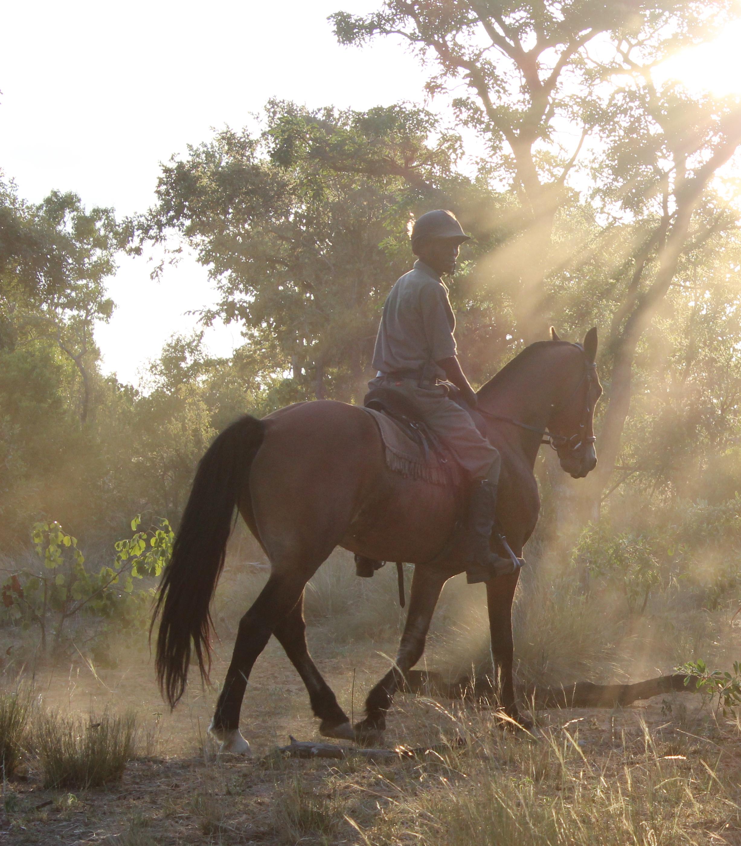 Riding through Ant’s Nest in the Waterberg | The Waterberg Trust